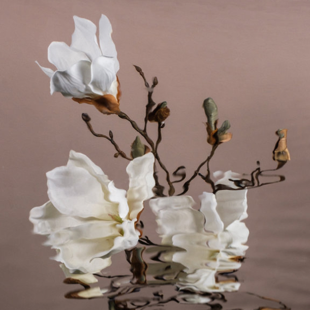 CATHERINE CATTANACH – Muse Art Gallery