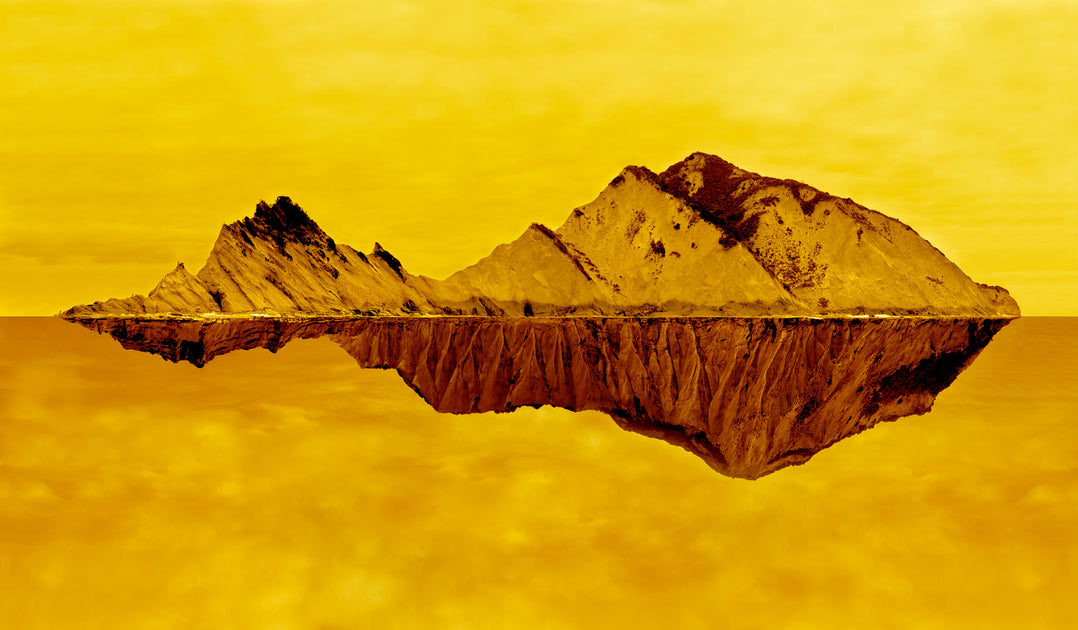 CATHY CARTER – Muse Art Gallery